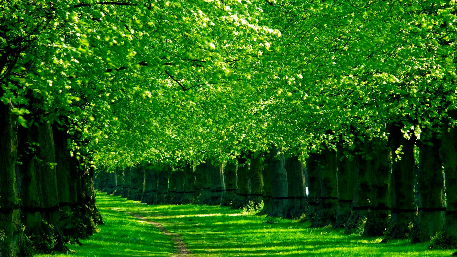 Incidencias del Mundo: Paisajes, imágenes 1920 x 1080 pixeles, Ultra HD