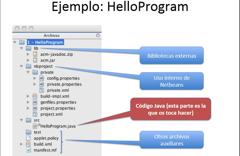Java Netbeans Caracteristicas