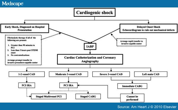 Manuali di Medicina Intensiva: Shock cardiogeno (Capitolo 2.7.6)