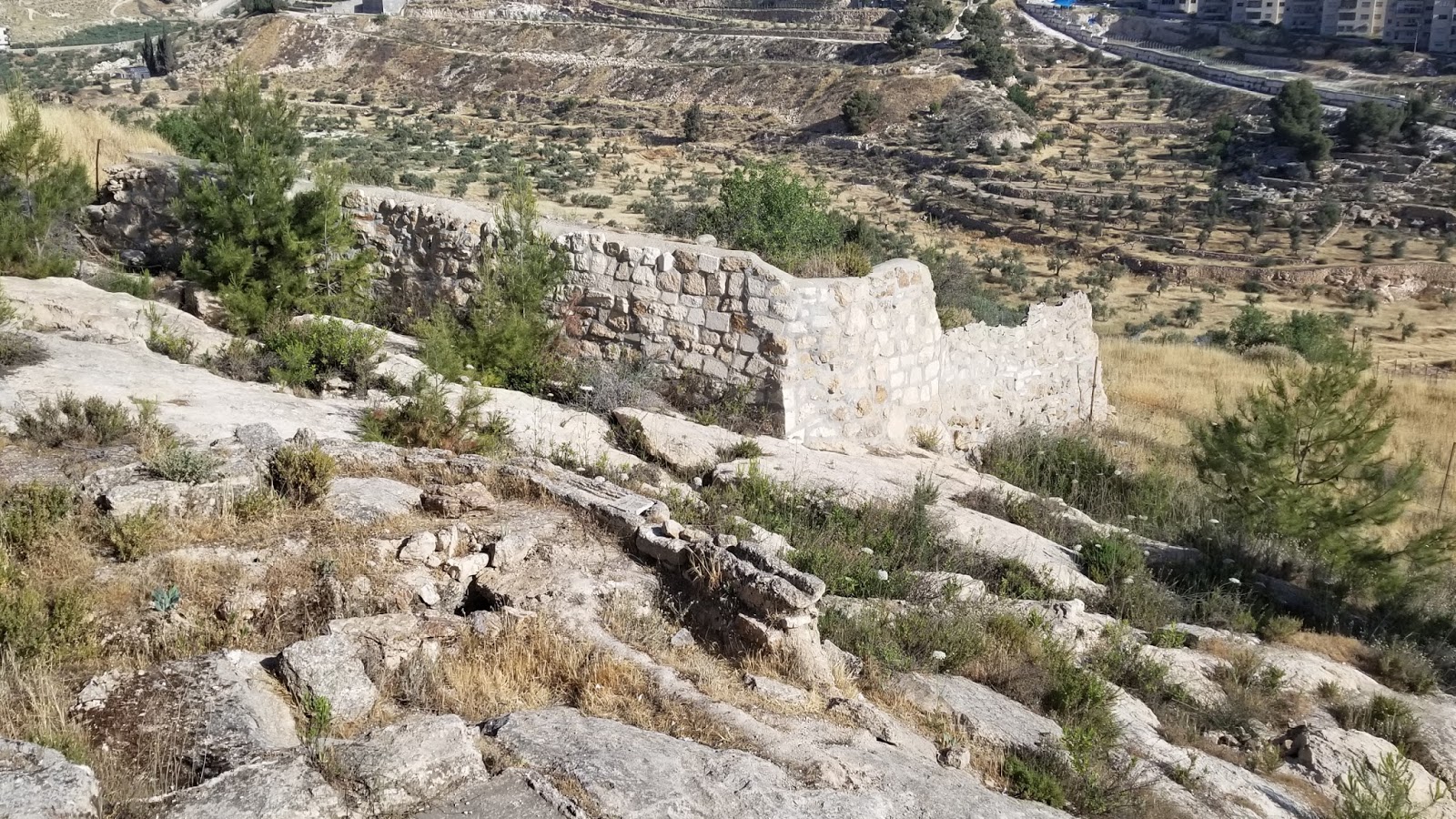 Huntsmans in the Holy Land: Bethlehem; the Israel Museum