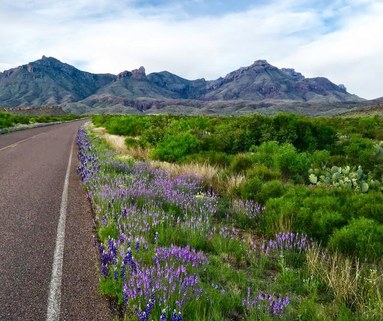 Texas Mountain Trail Daily Photo