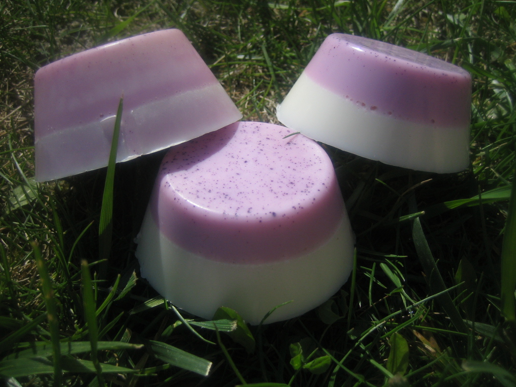 Créer vos produits naturels : simple et pas cher !: Méthode pour ...