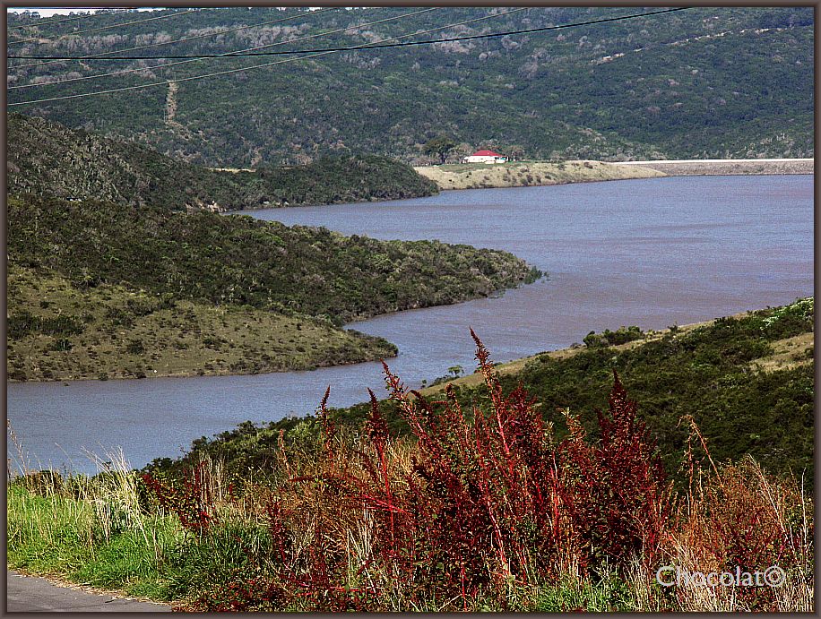 The Mdantsane Way: NU 5 - The Best View In Town