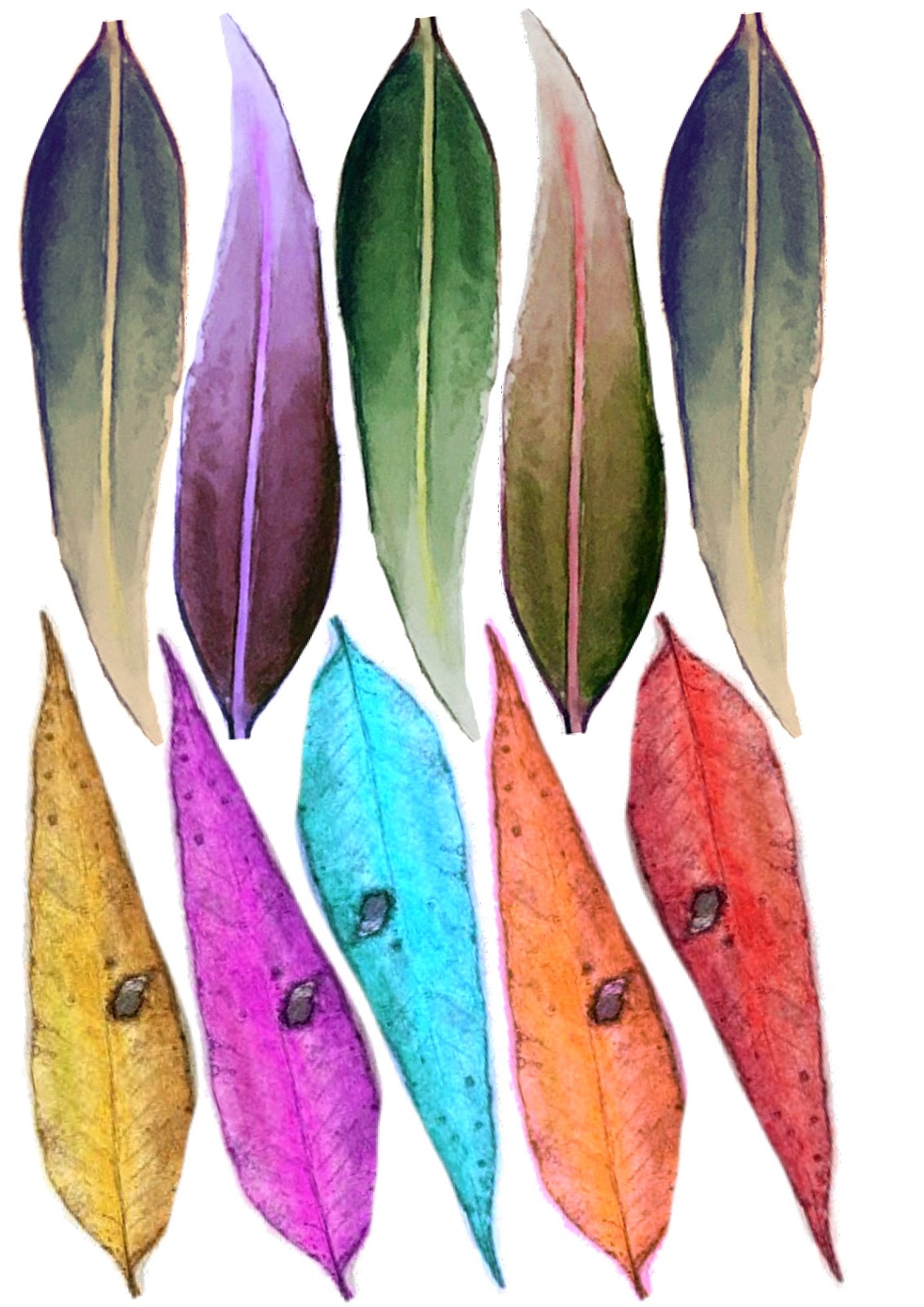 MIXED MEDIA SCRATCH ART - Frogs