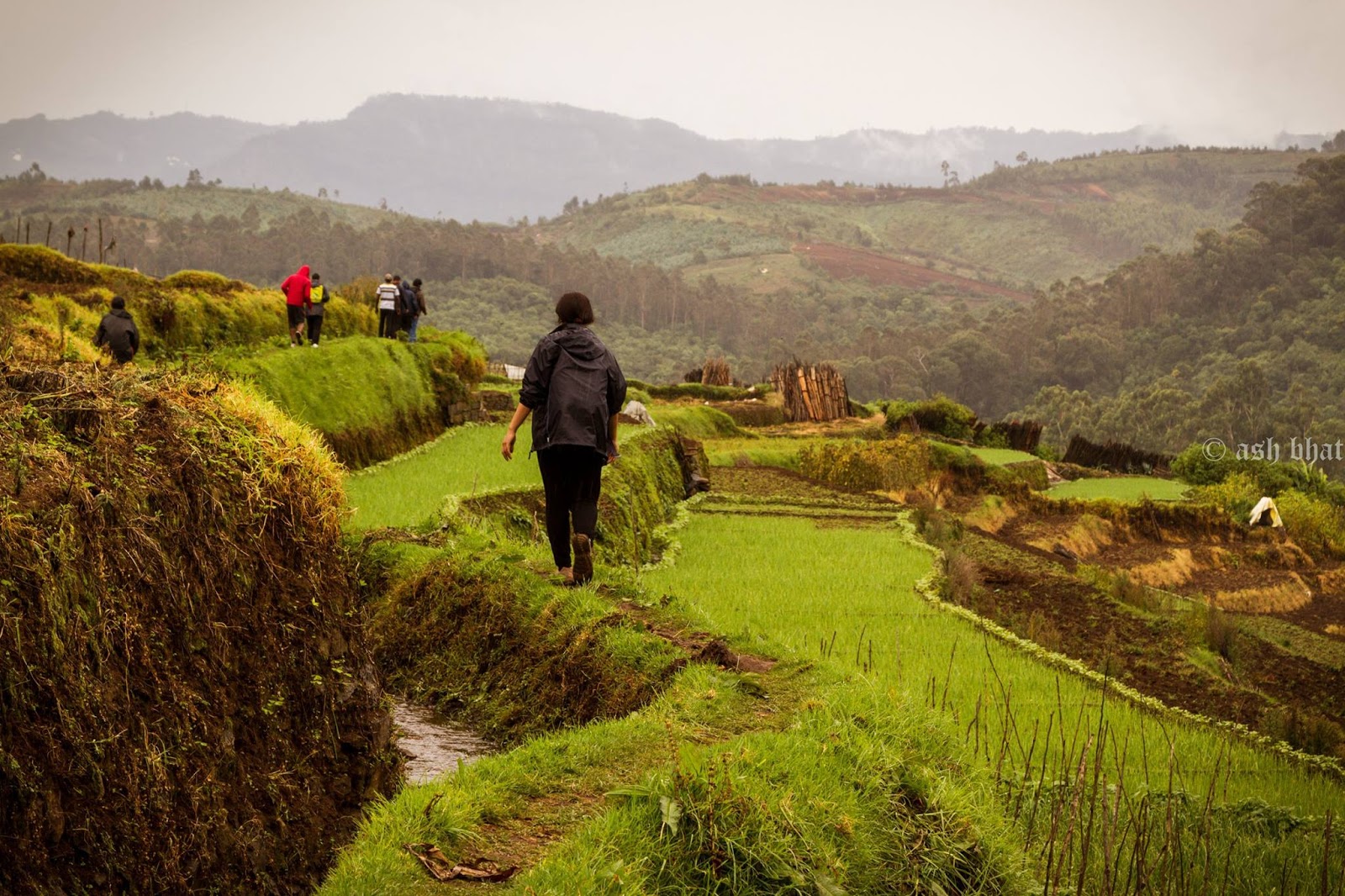 BTC trek to Kukkal Valley - Bangalore Trekking Club®