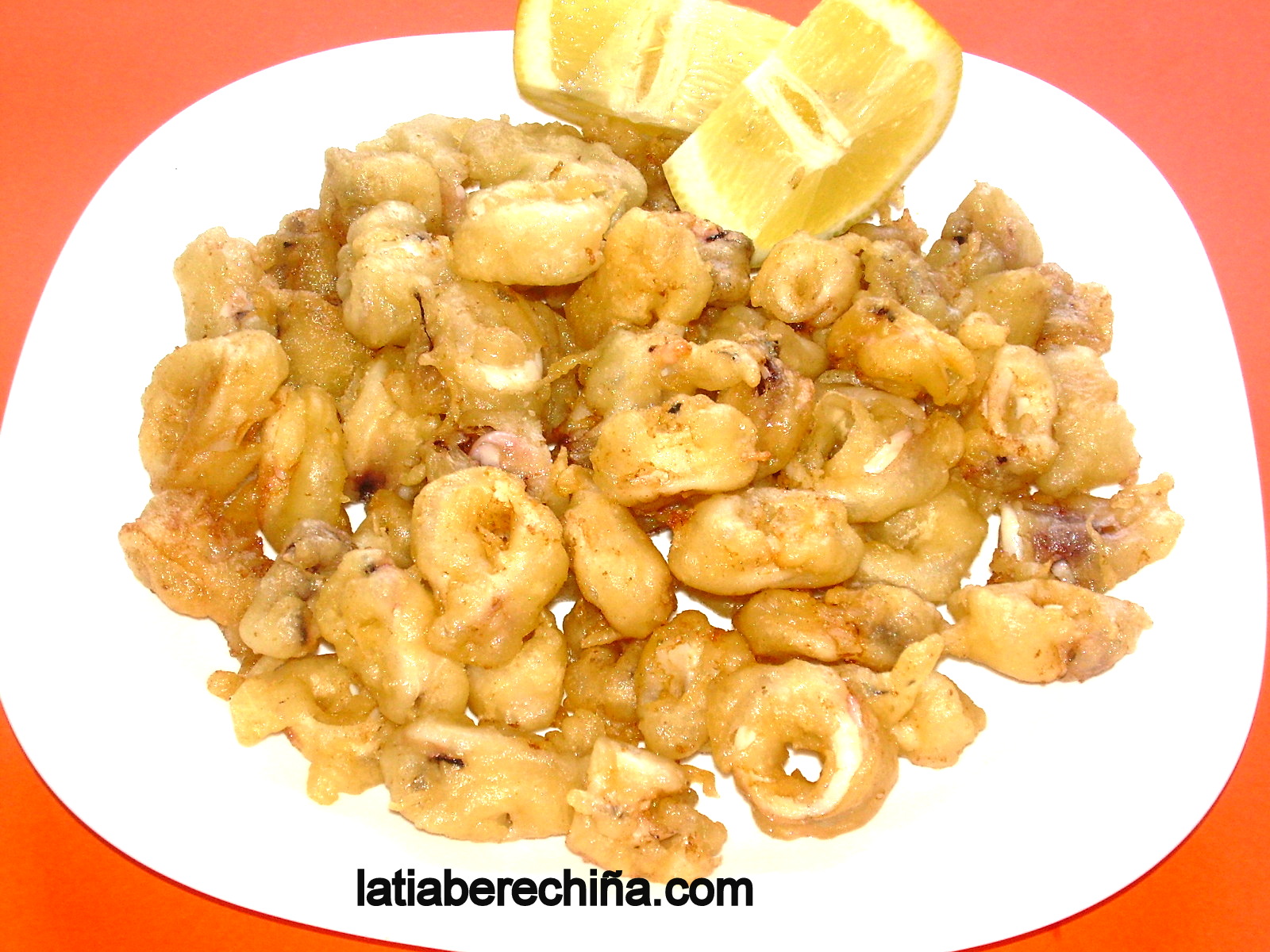 El blog de la tia Berechiña: Anillas de calamar rebozadas en tempura.