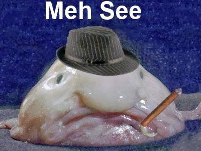 Cute Funny Animalz: Funny Blobfish New Nice Photography 2013