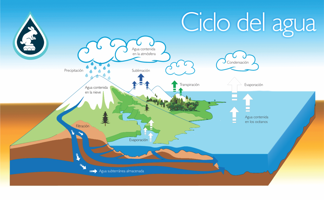 Ecología y medio ambiente: Ciclos Atmosféricos