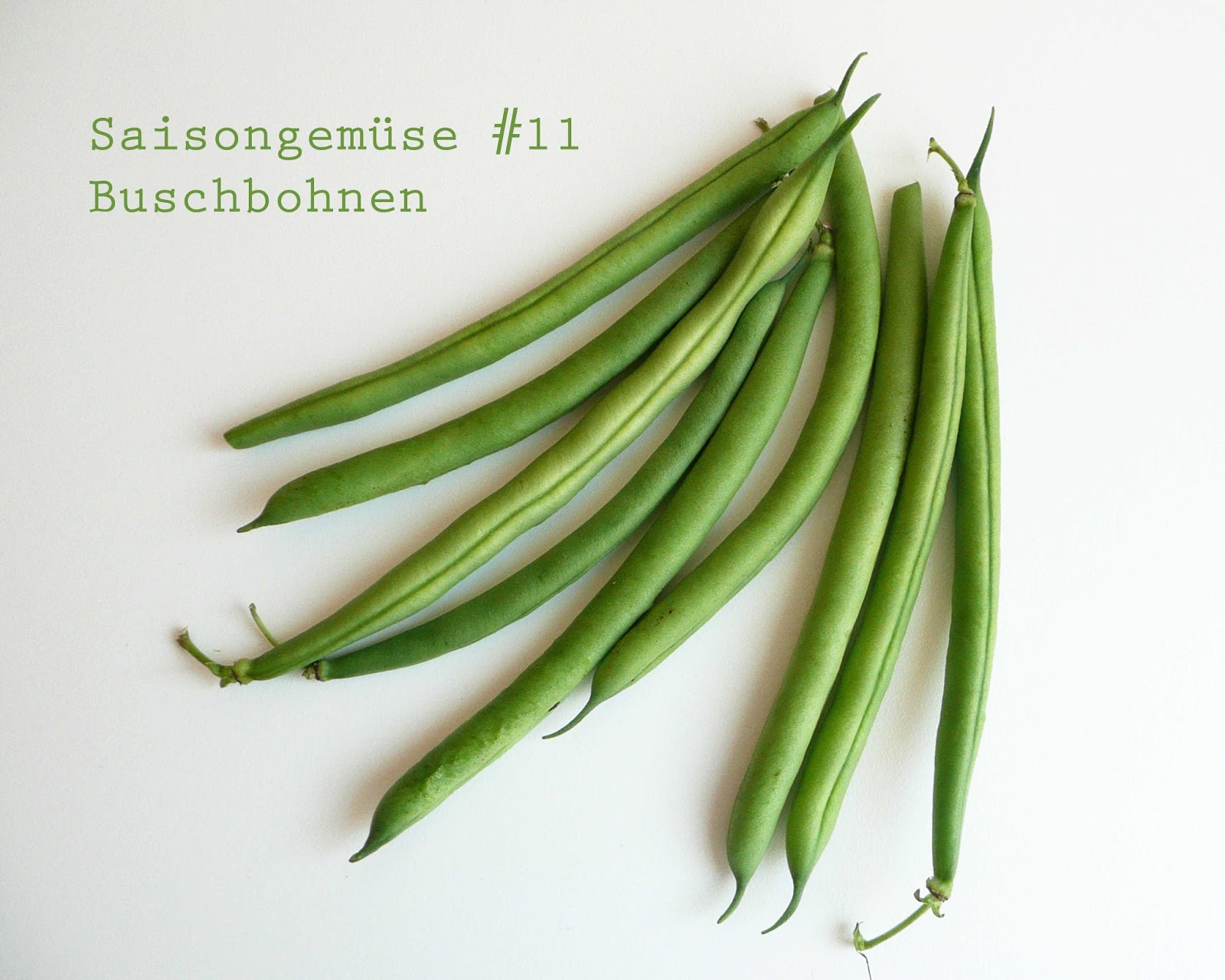 Mini Matriarchin: Saisongemüse #11 - Buschbohnen