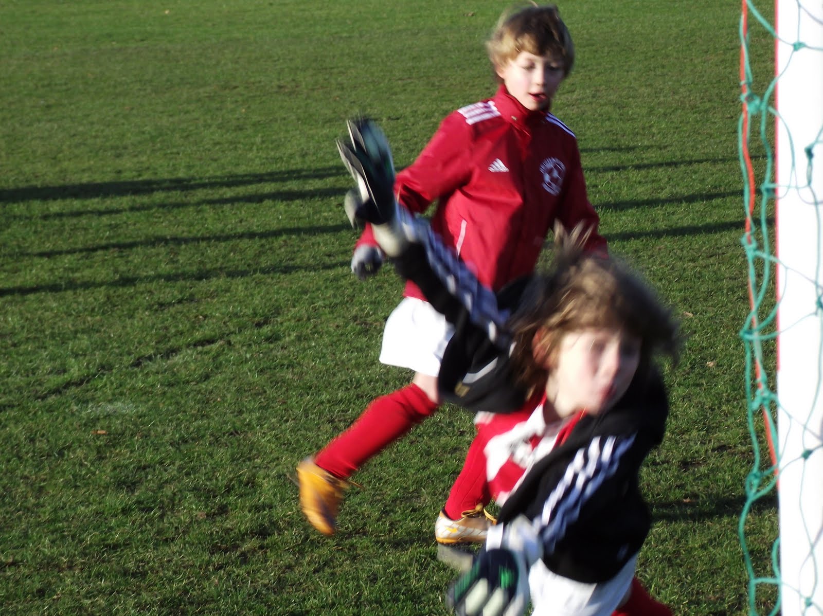 Heigham Park Rangers U8s: Home Match Report 7/1/12