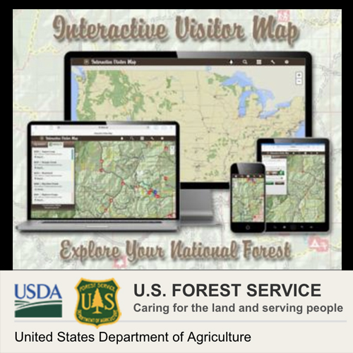 Teacher Librarians: Bridging Theory and Practice: Website: National ...