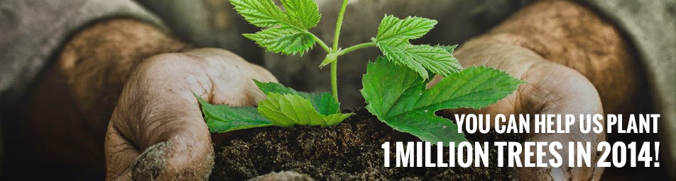 One Dollar for One Tree : Plant one tree for one dollar