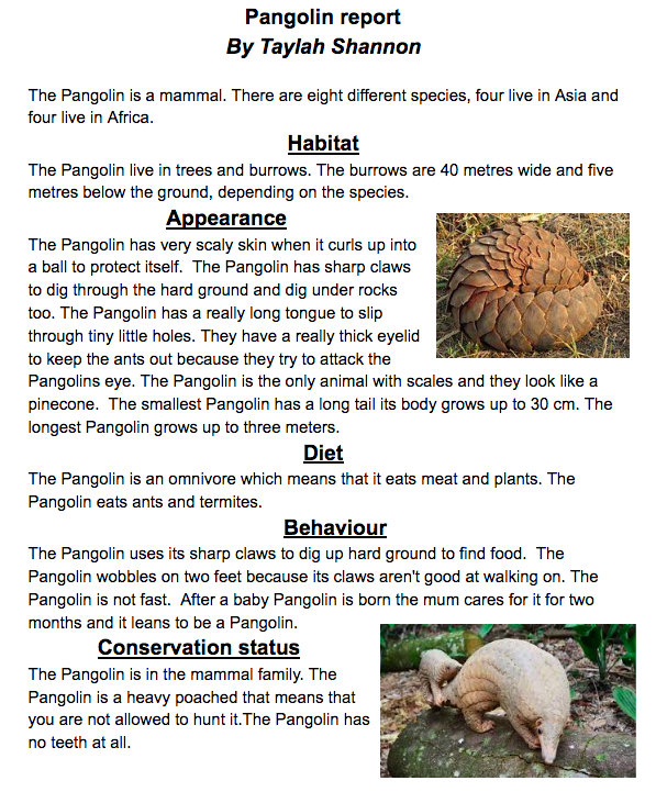 Sensational Fifteen & Sixteen!: Writing Animal Reports