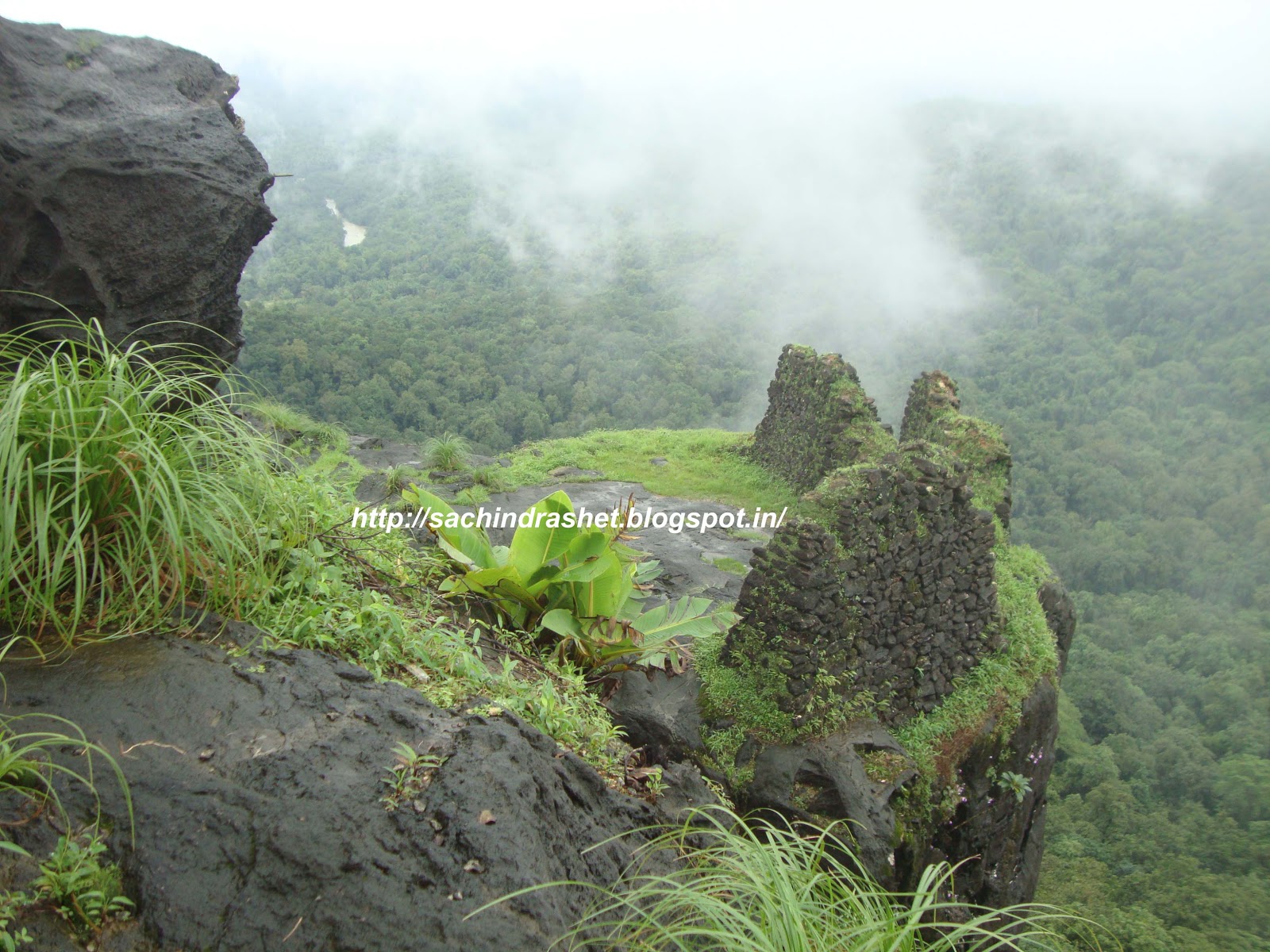 Exploring Nature: Metkal Gudda, Hosangadi