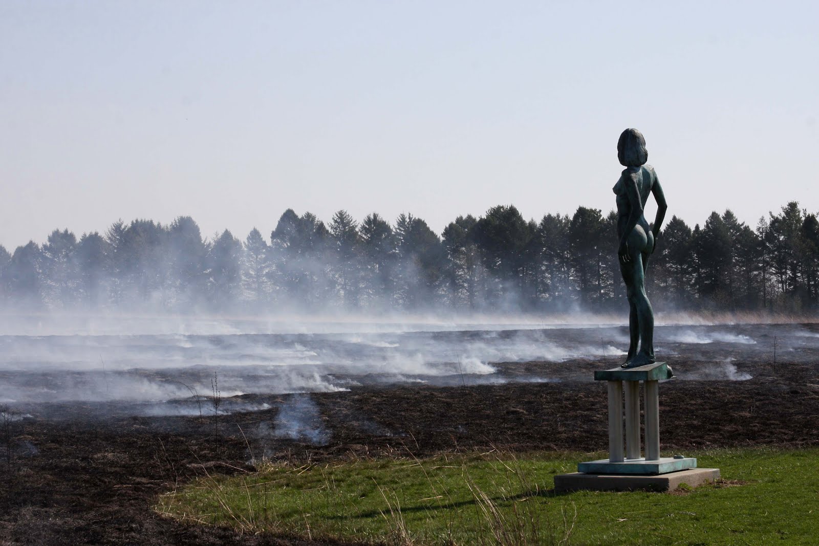 Environmental Almanac: Prescribed burns enable prairie to thrive