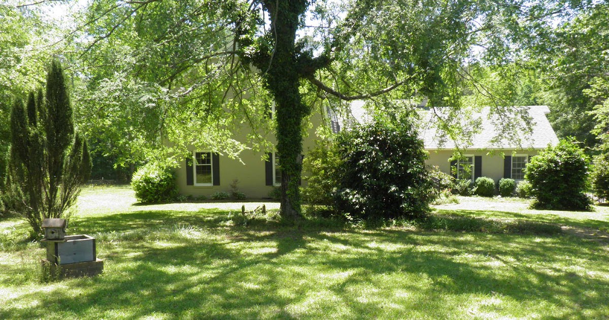 Little Homestead Life