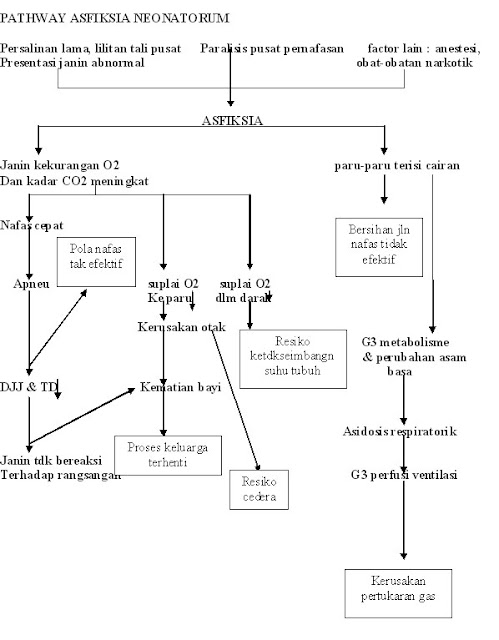 About Asfiksia: About asfiksia