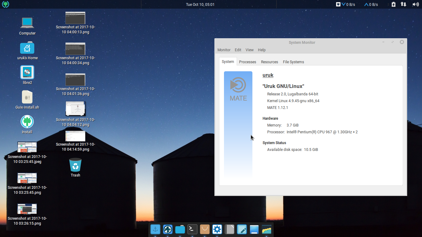 Good looking lightweight linux distro - dnamusli