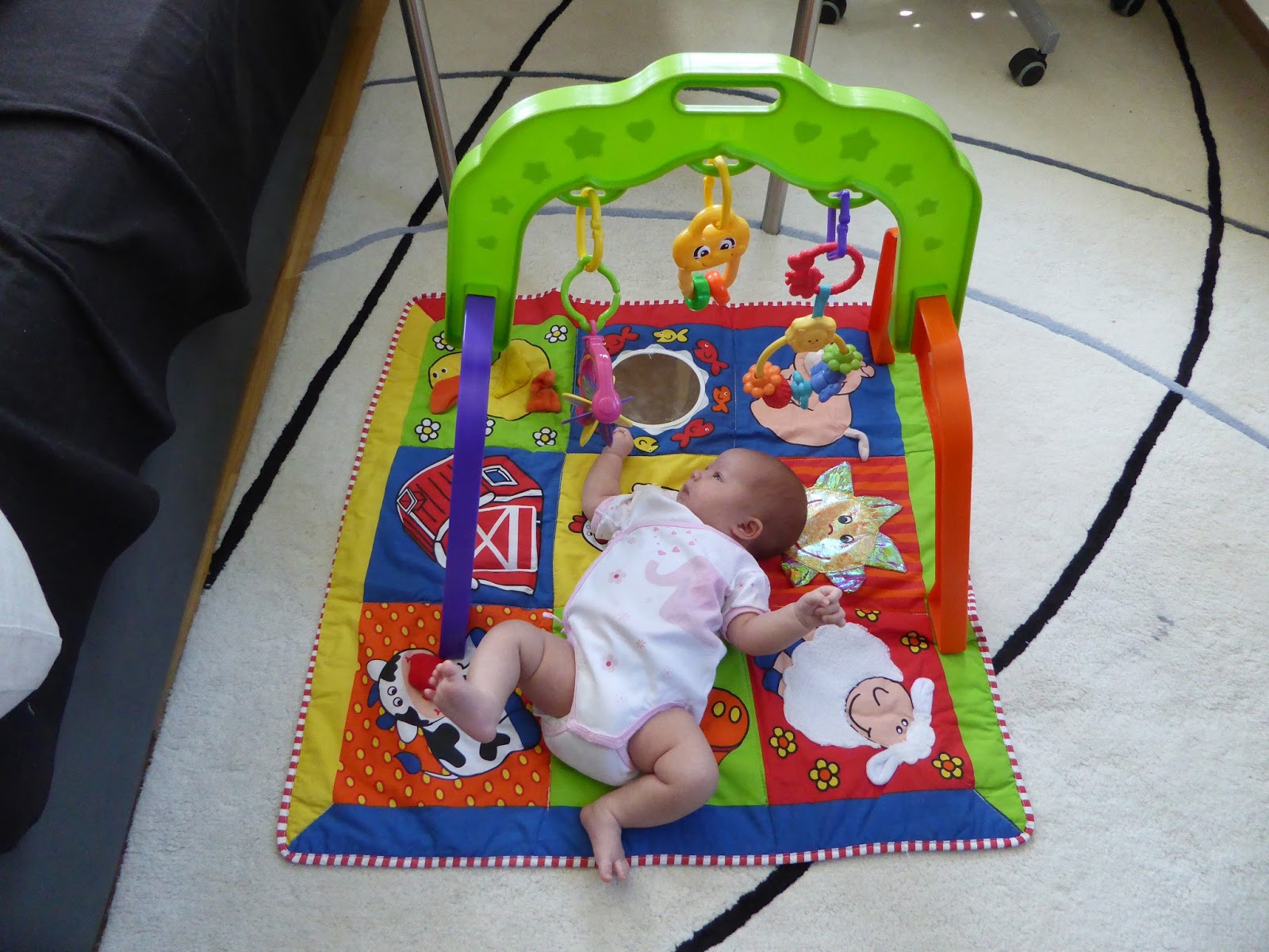 Family FECS: Let Baby Track Object