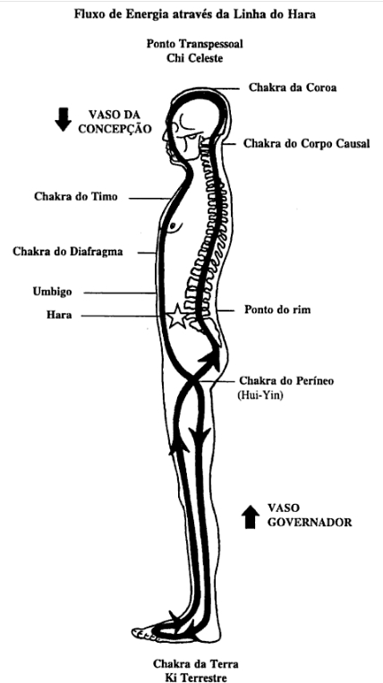 REIKI CURA HOLISTICA.: OS CHAKRAS DA LINHA DE HARA.
