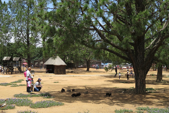 A SUSTAINABLE FUTURE: BENONI BUNNY PARK