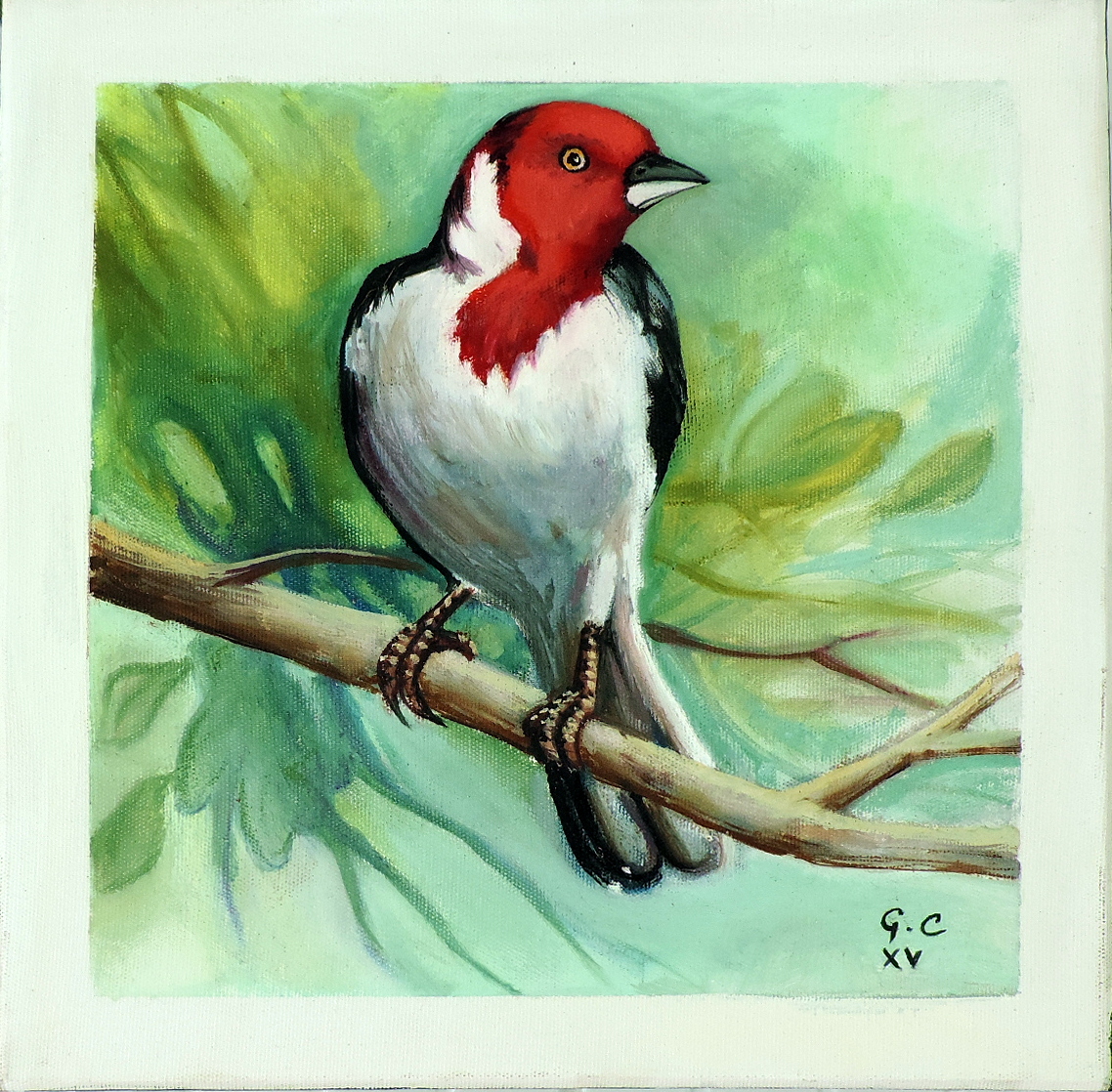 Gilberto Castro (g.c.) - Quadros/Esculturas