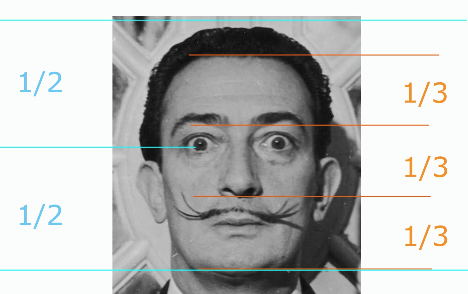 LA PROPORCIÓN EN EL ROSTRO | .imagenesola imagen y la educacion ...