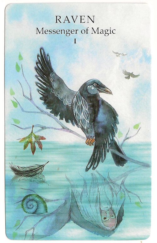 Tarot Notes: Animal Tarot Time: The Magician