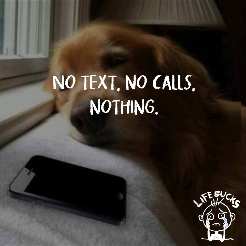 No Call No Text Quotes