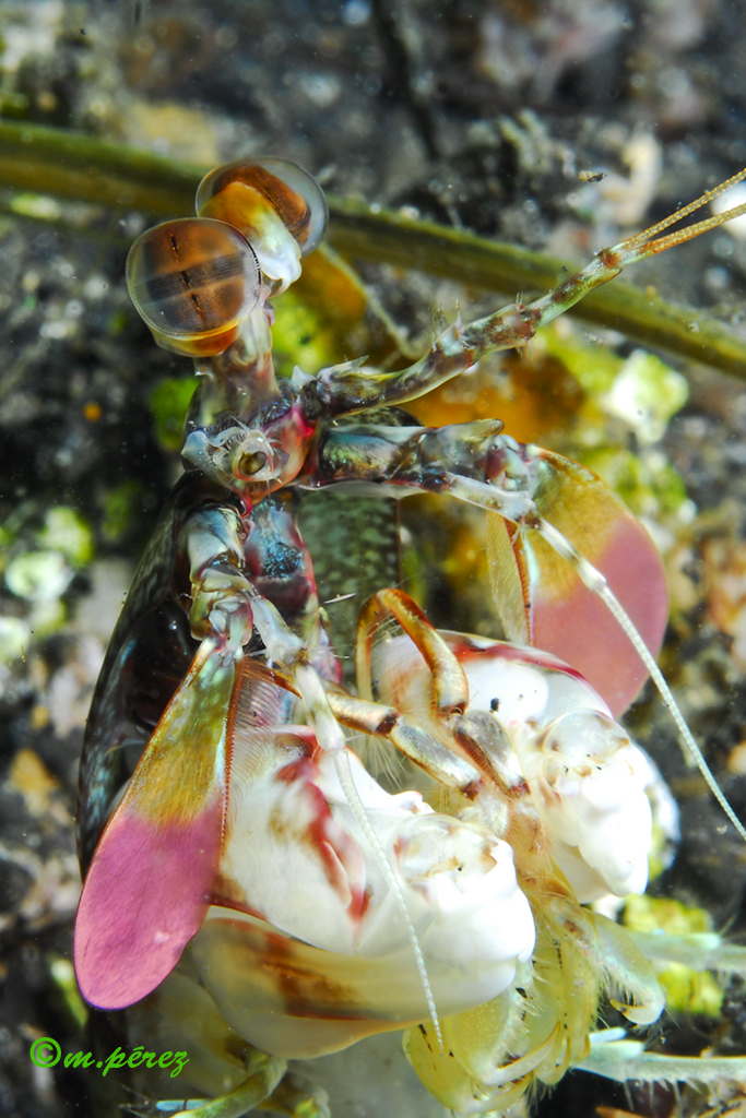 fotogadeshttp://1.bp.blogspot.com/-CJQ-SnSoqJQ/Ua34DfyQquI/AAAAAAAABDU ...