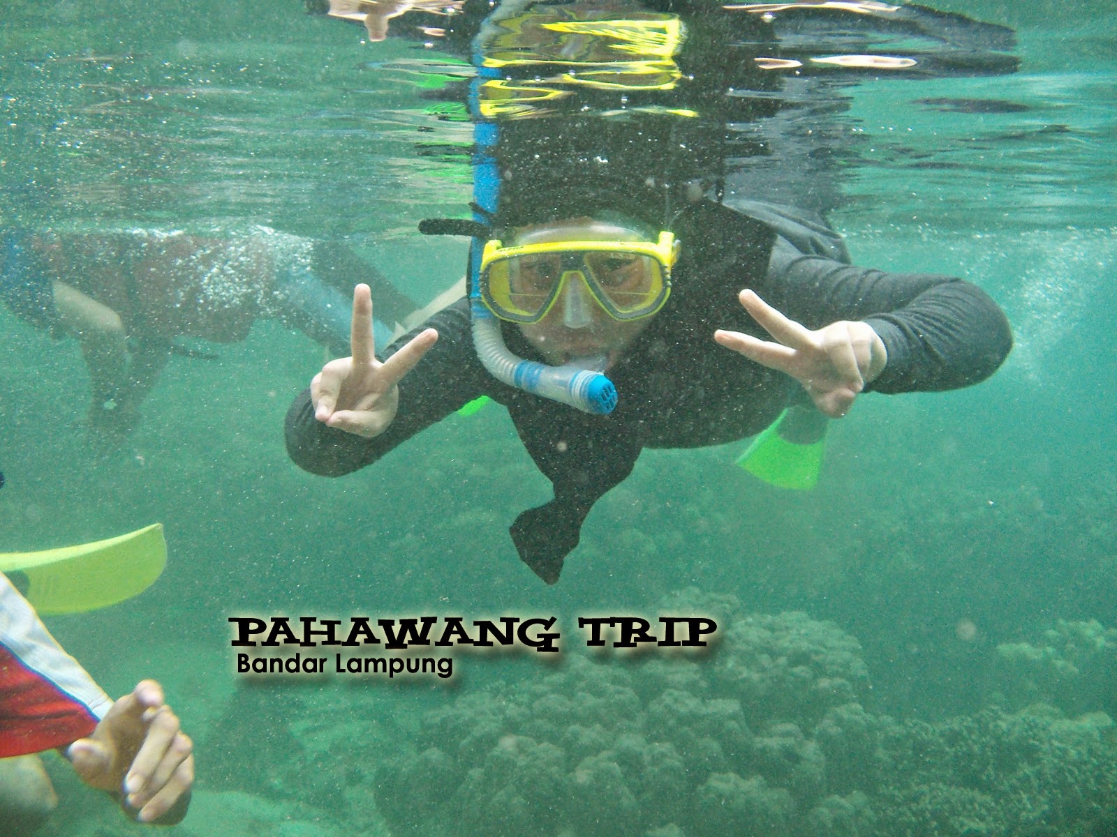 Trip Snorkeling Pulau Pahawang + Dolphin Hunting Teluk Kiluan, 3 - 4 ...
