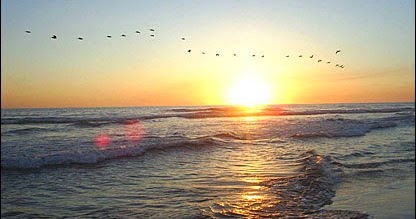 Playa Mocambo, Veracruz