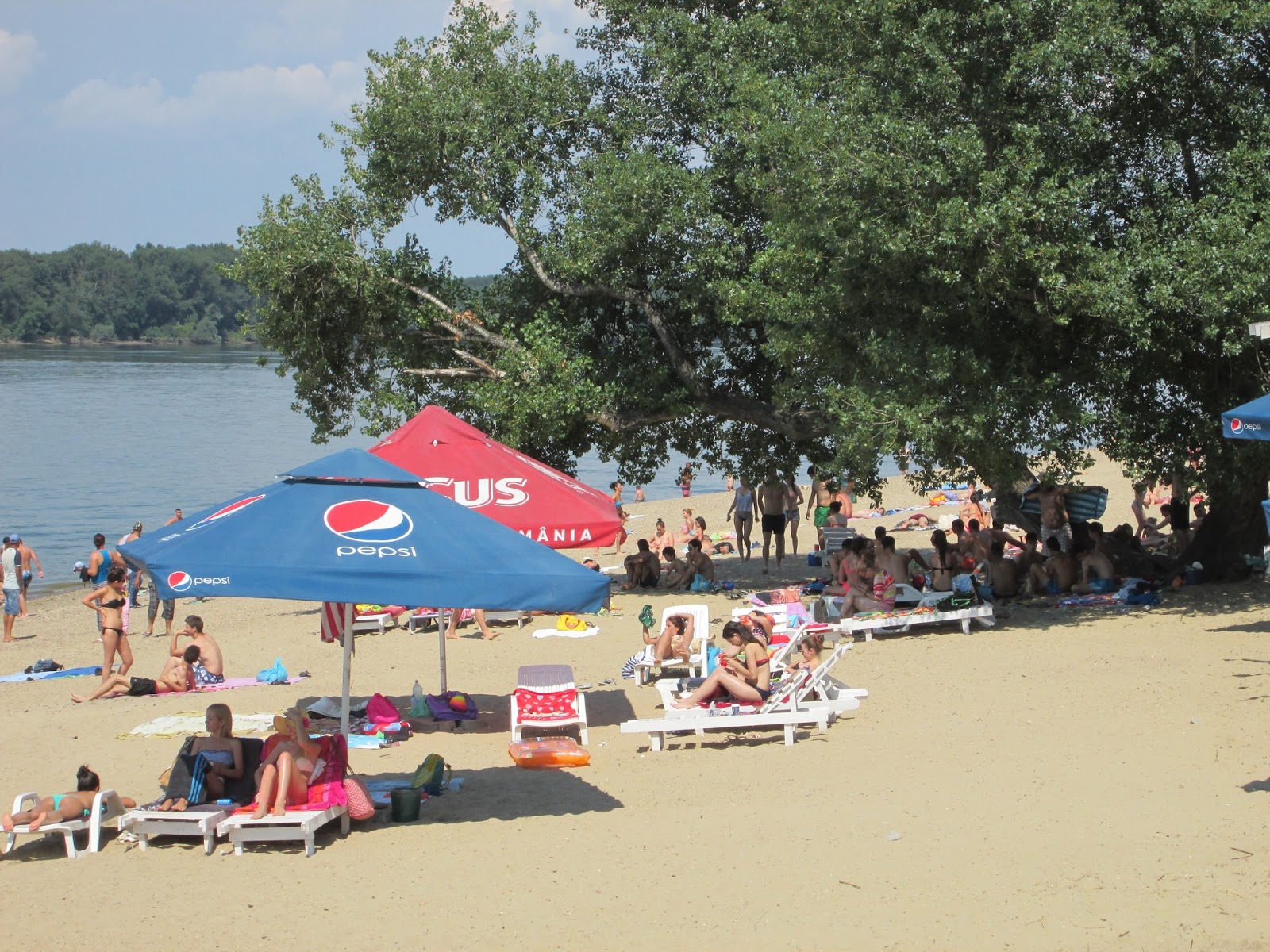 Foto/Video: Plaja Başcov şi Debarcader din Mun. Calafat - Ciobanu Gigel