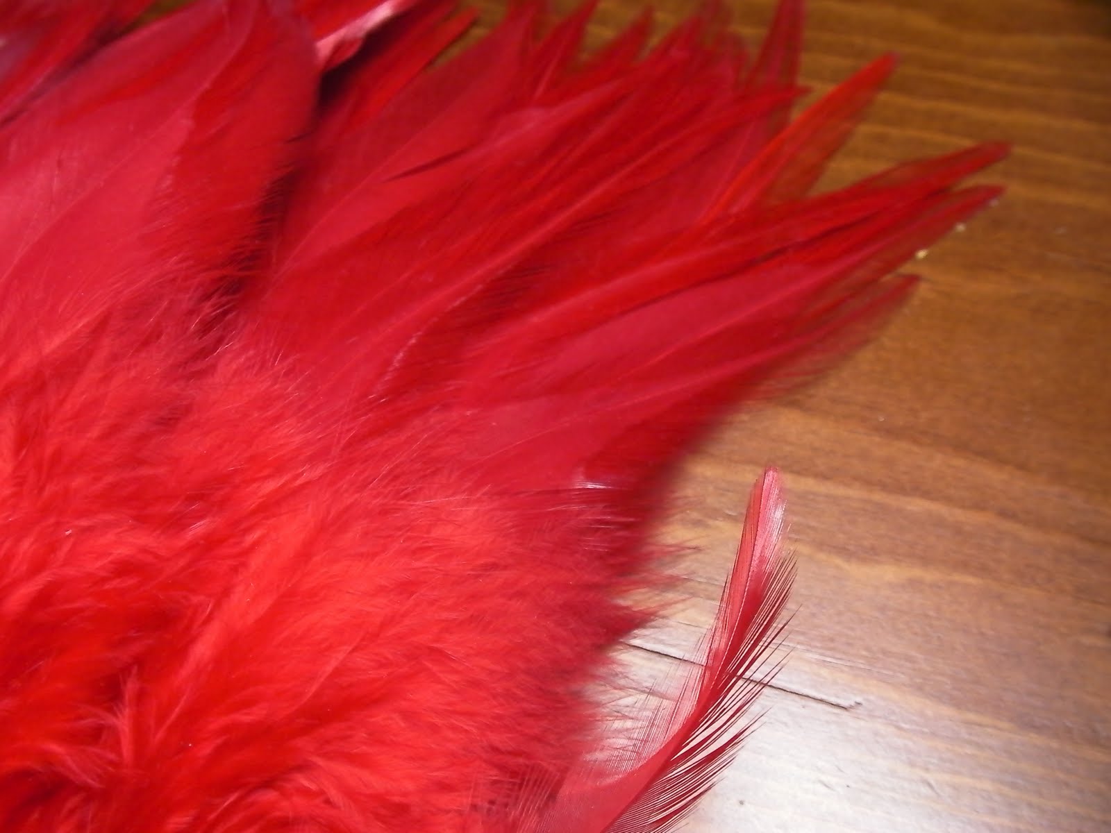 Fly Tying Videos: How to Tie Flies for Freshwater and Saltwater: How to ...