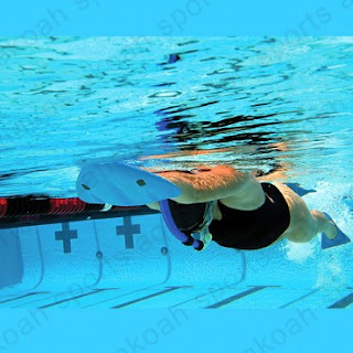 LE PLAISIR DE NAGER / LE GUIDE DU CRAWL MODERNE: Test: Finis Alignment ...