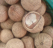 Makanan Sunnah: Buah kulim