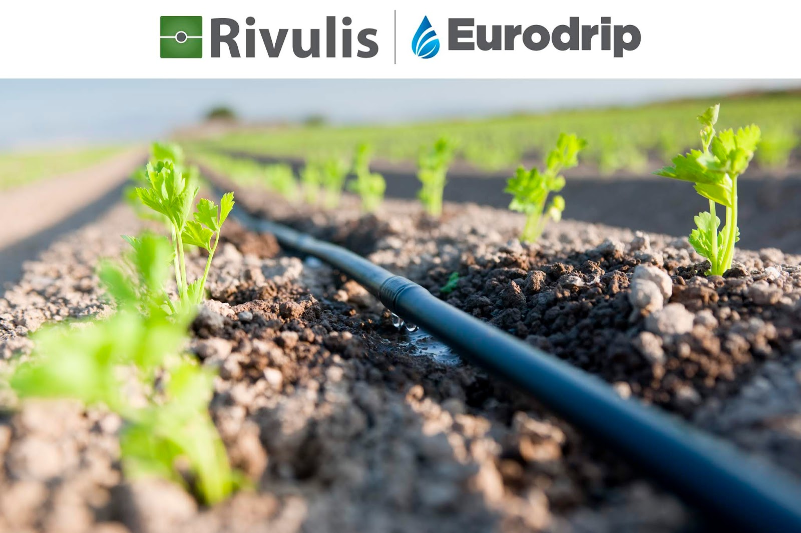 Σύμπραξη Rivulis και POLYPLASTIC για την κατασκευή του πρώτου κορυφαίου ...