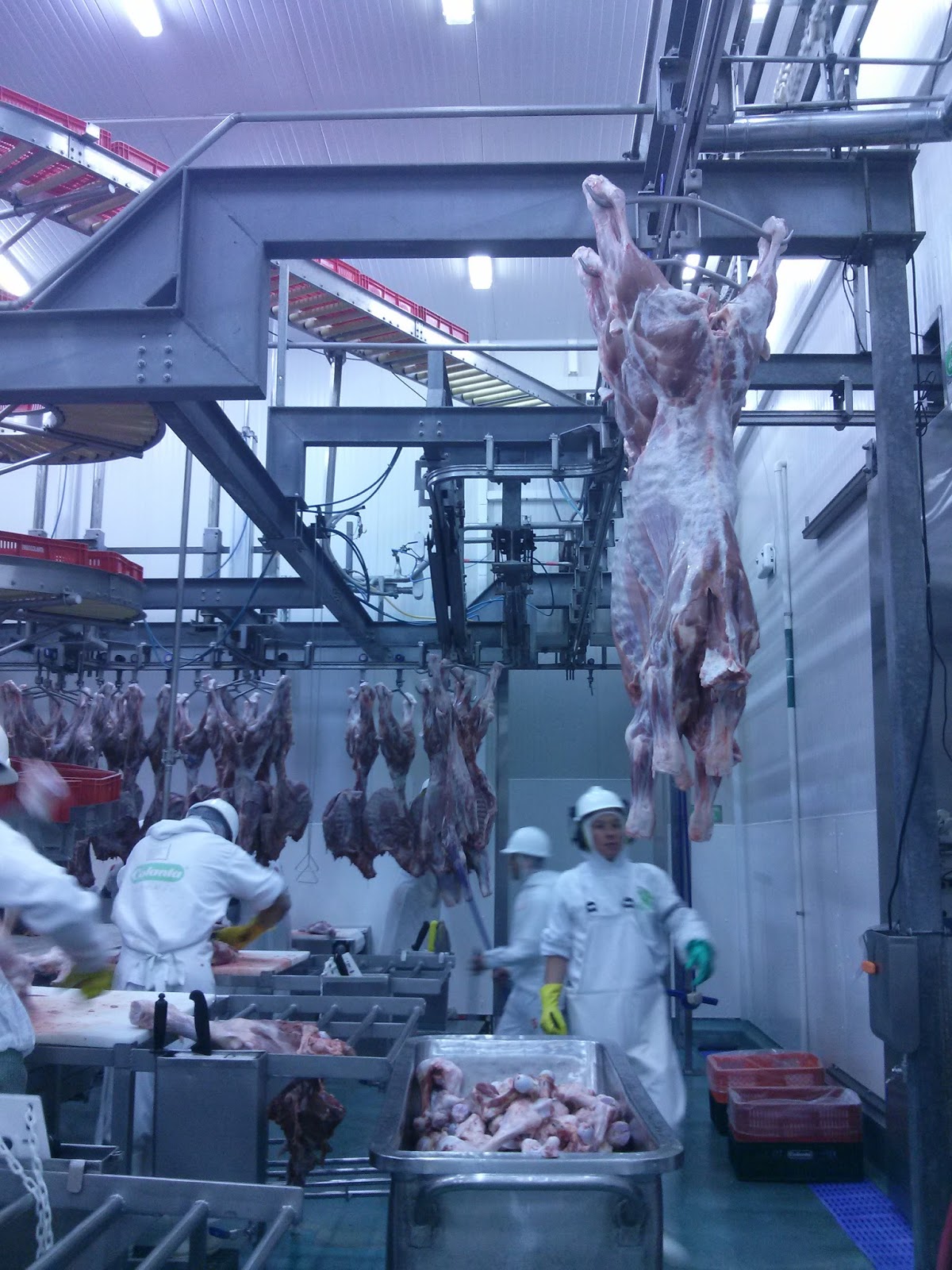 PROCESAMIENTO DE CARNE