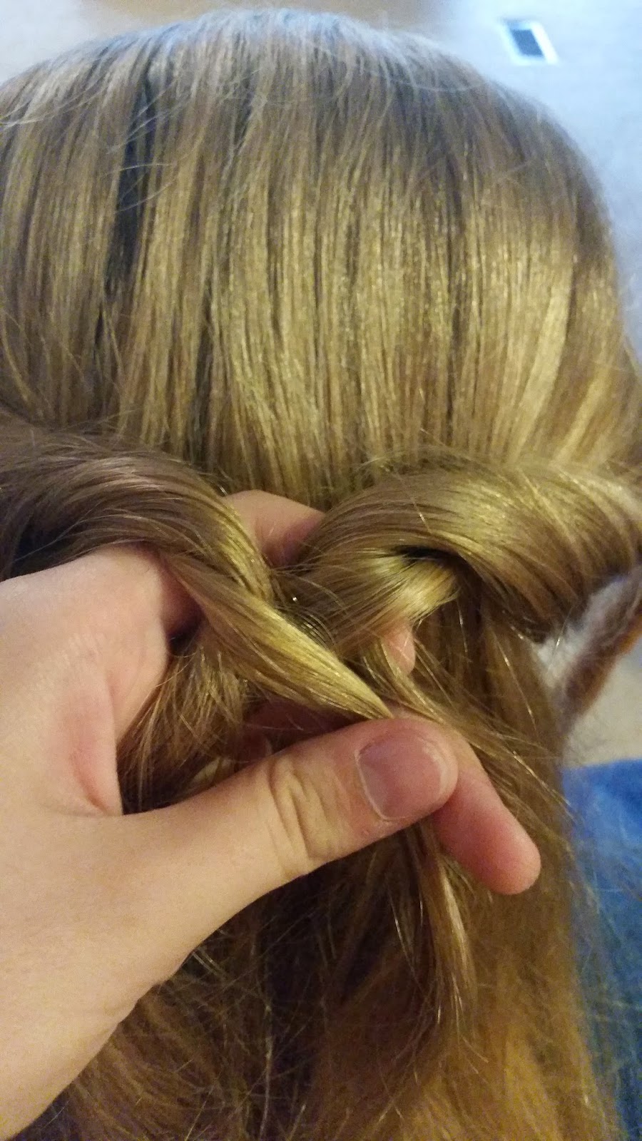 Whatsoever Things Are Lovely: Half-up Half-down Twisted Fishtail Braid ...