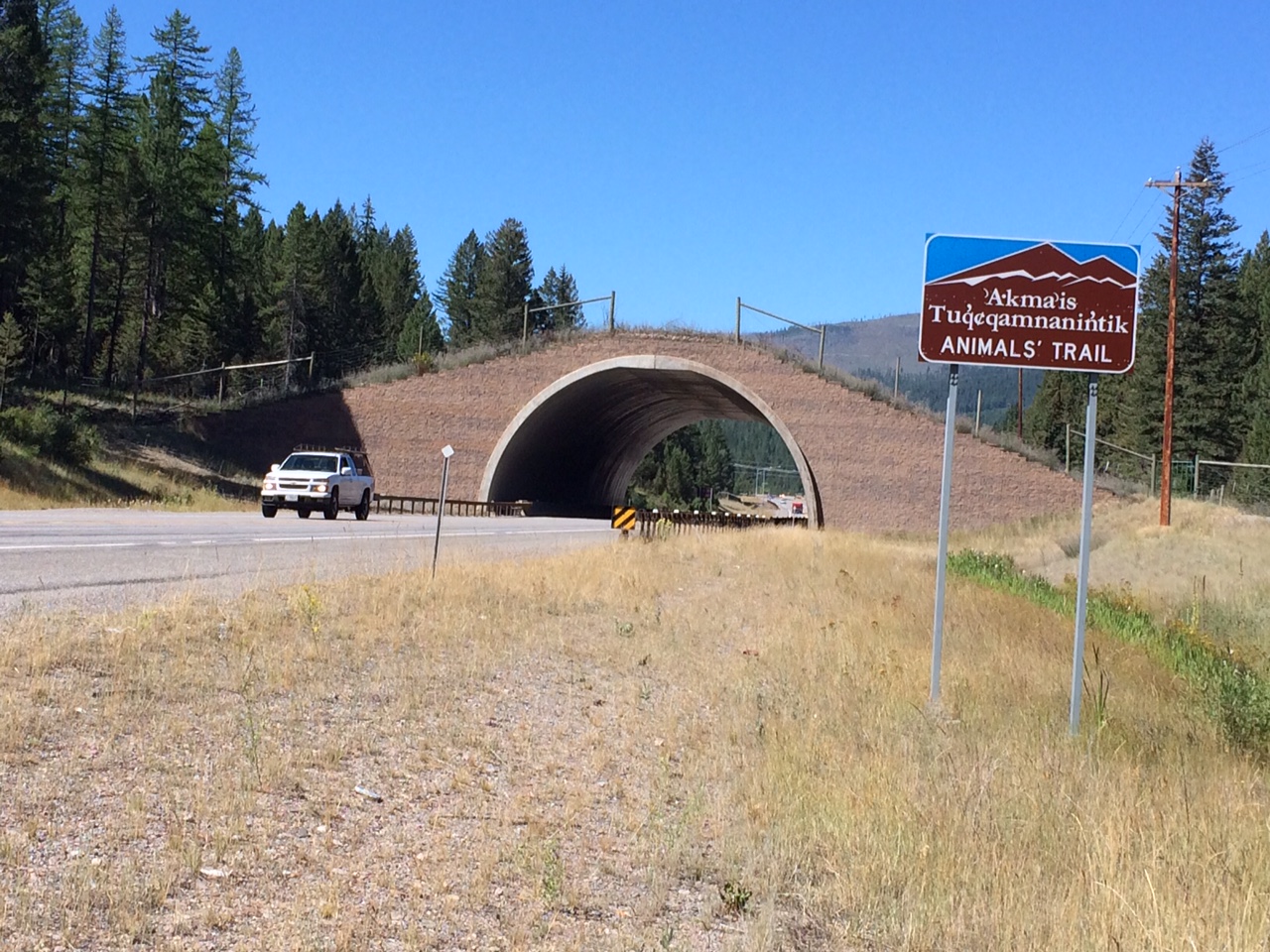 Old guy on a new blue bike: From Spokane, WA to Mercer, PA: Day 5, July ...