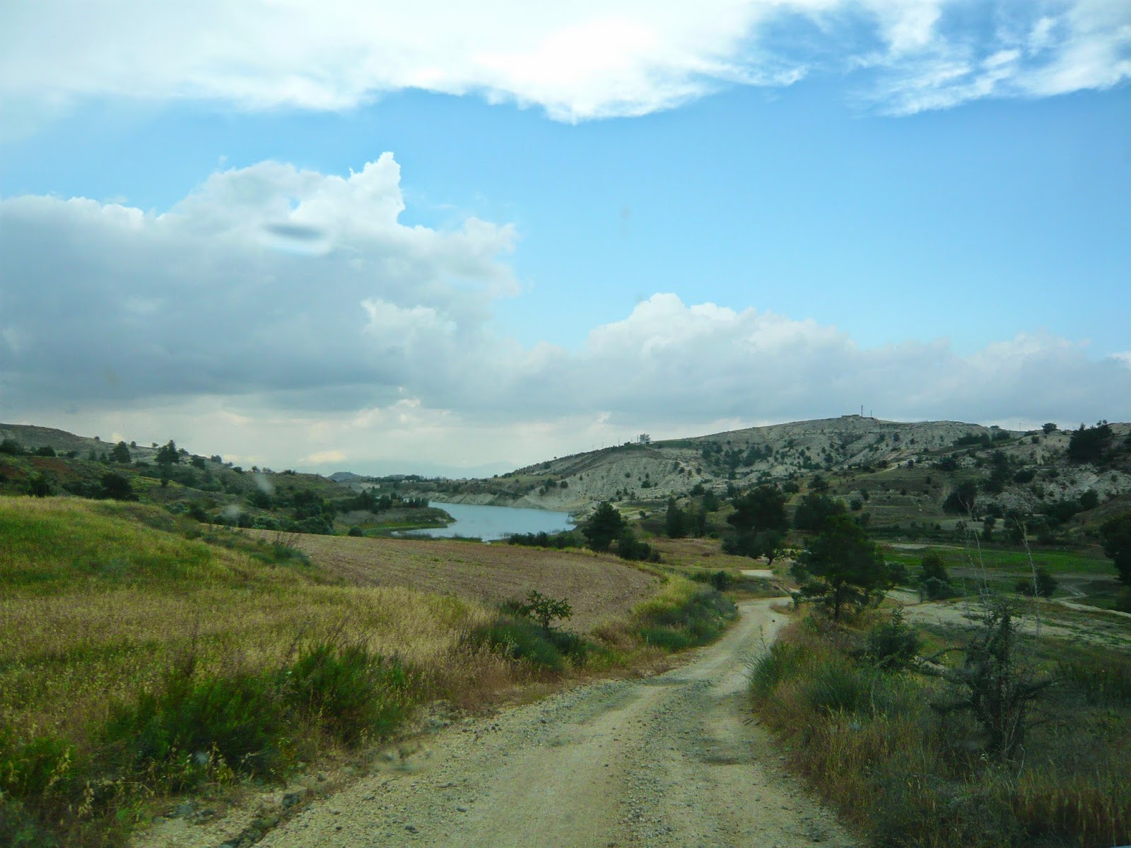 Produced in Cyprus: Riverland Diary Bio Farm – your first choice for ...