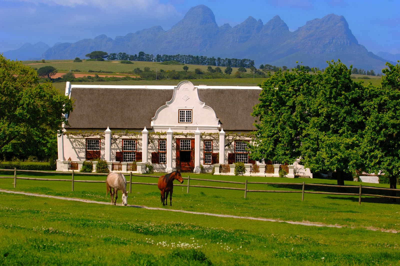 Wine Dine and Play: Meerlust Wine Estate