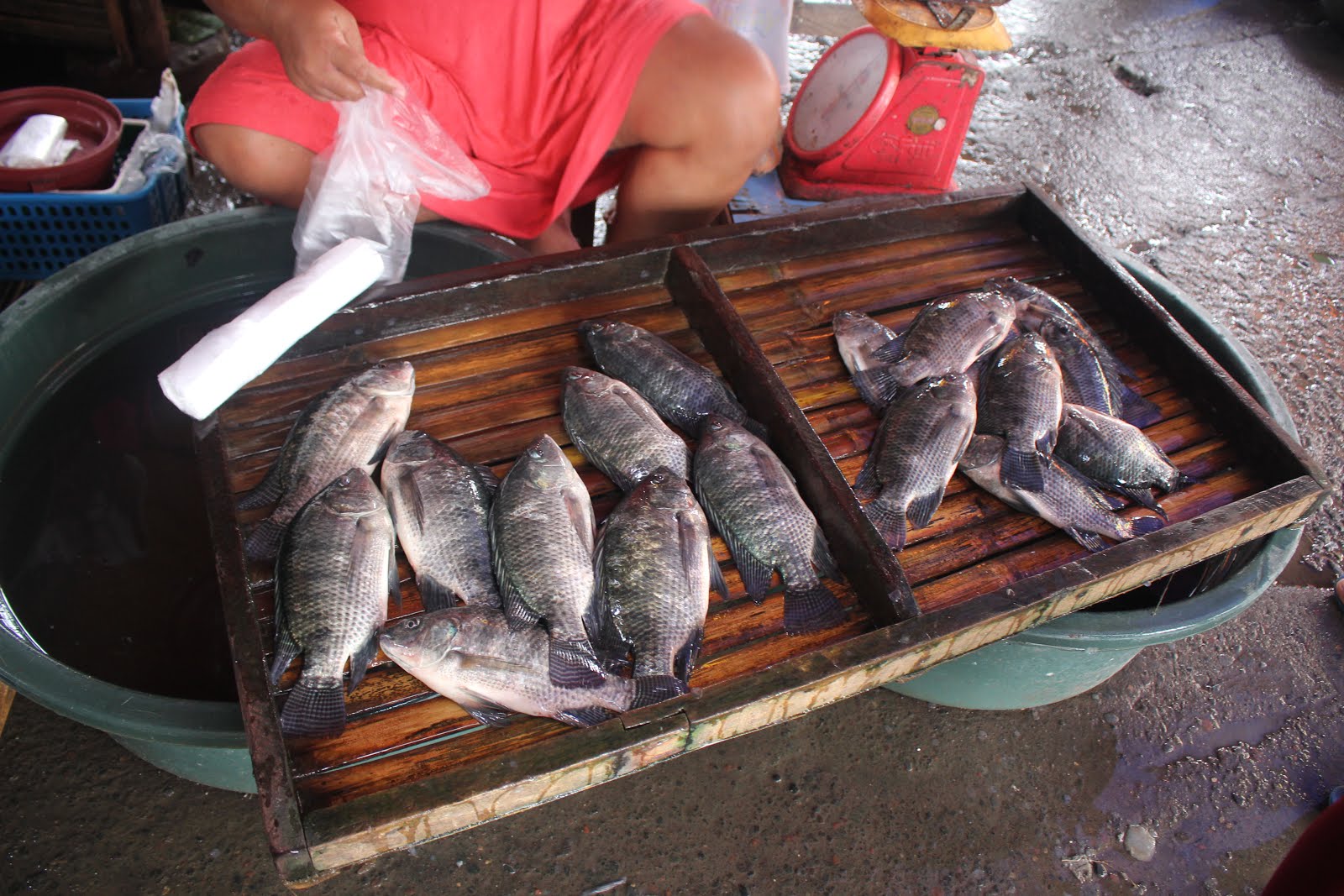 Stay, Stray, Play and Feast: Buhi Wet Market: Tilapia, Tabios and Rock ...