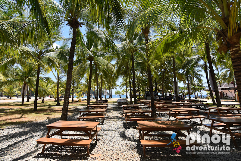 Camaya Coast Beach Resort and Aqua Fun Water Park Day Tour from Manila ...