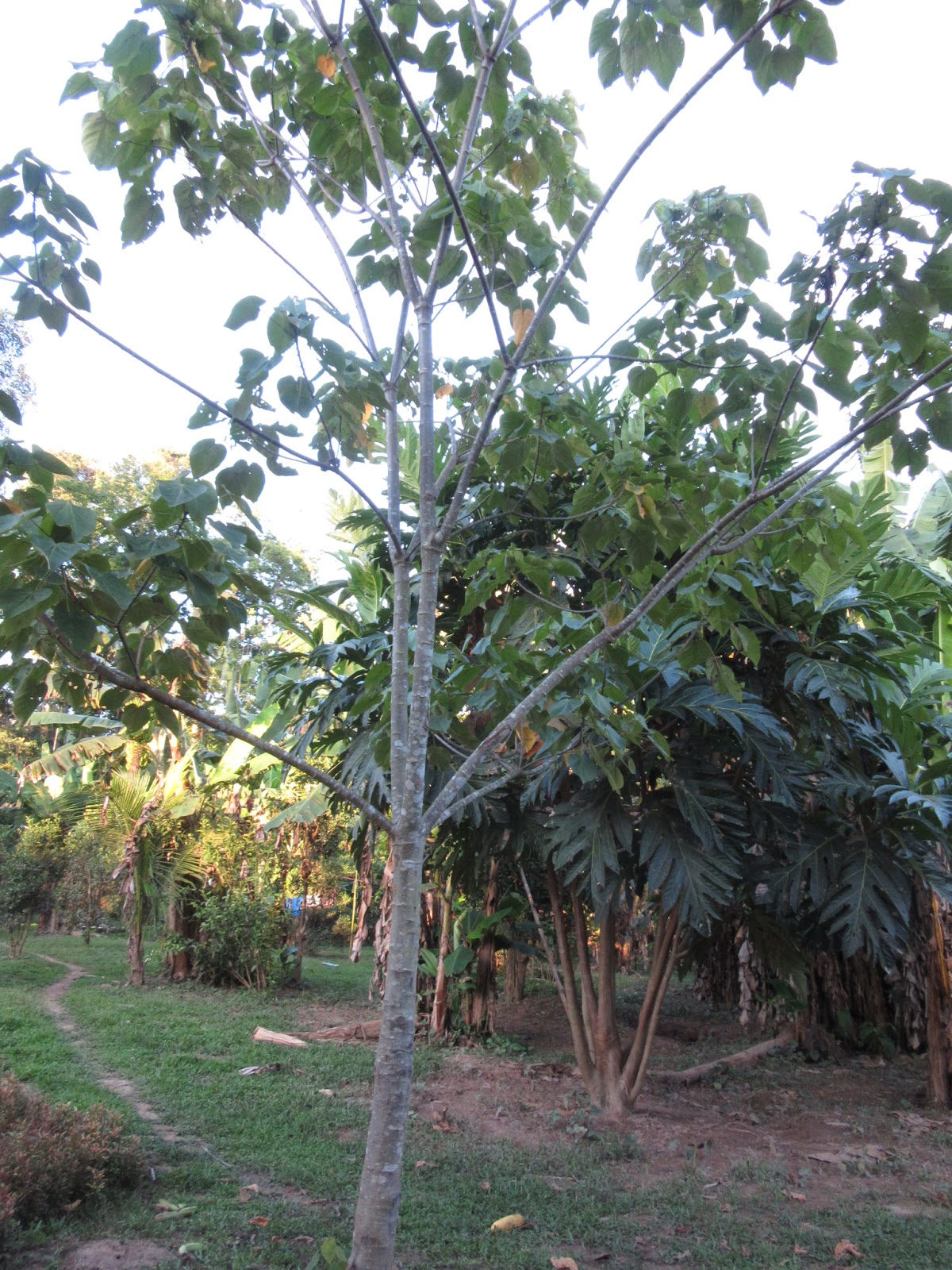 The Overseas Adventures of Annie and Steven Berger - 2017: 10/30 ...