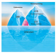 Culturomics- A Perspective
