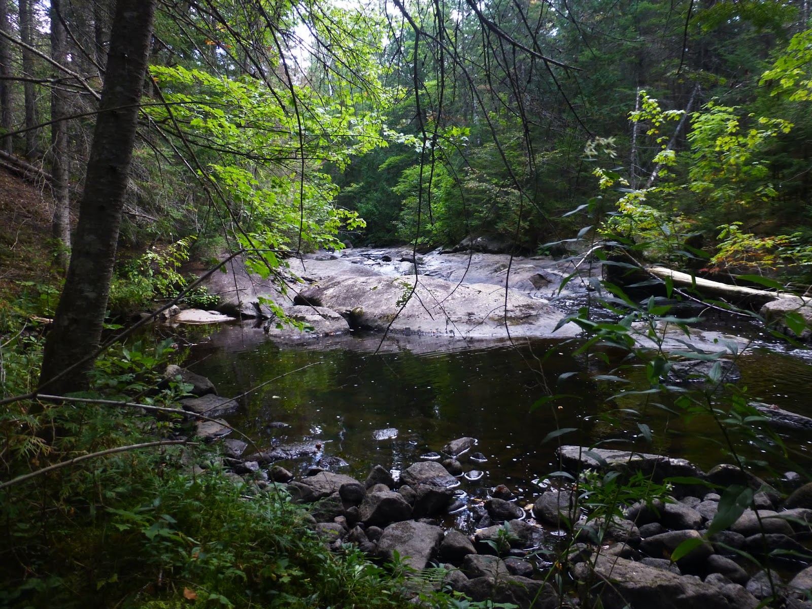 Off on Adventure: Wolf Pond - A New Trail in Progress! - Vanderwhacker ...