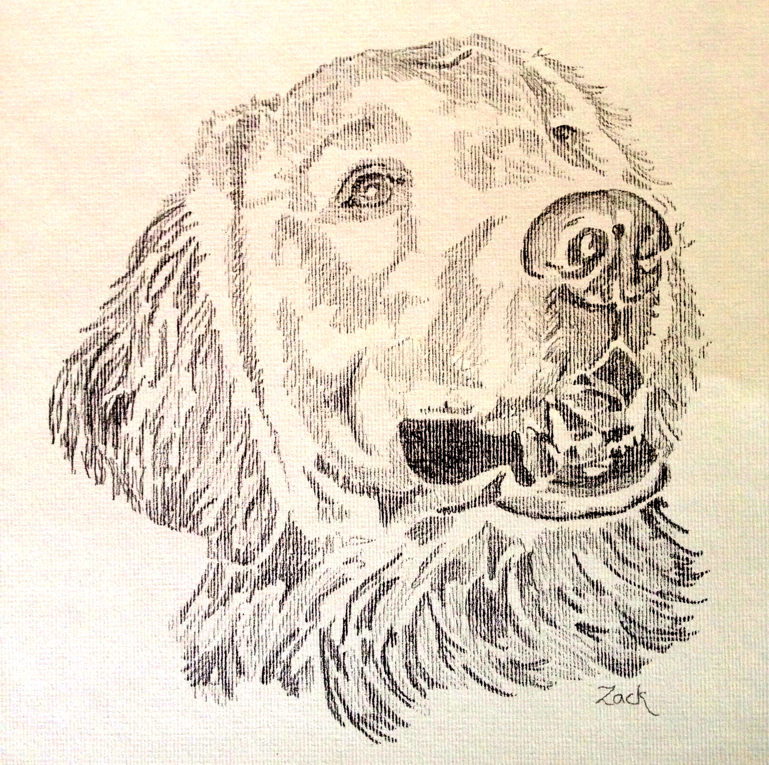 13 – Drawing animals | OCAdrawing1jfm