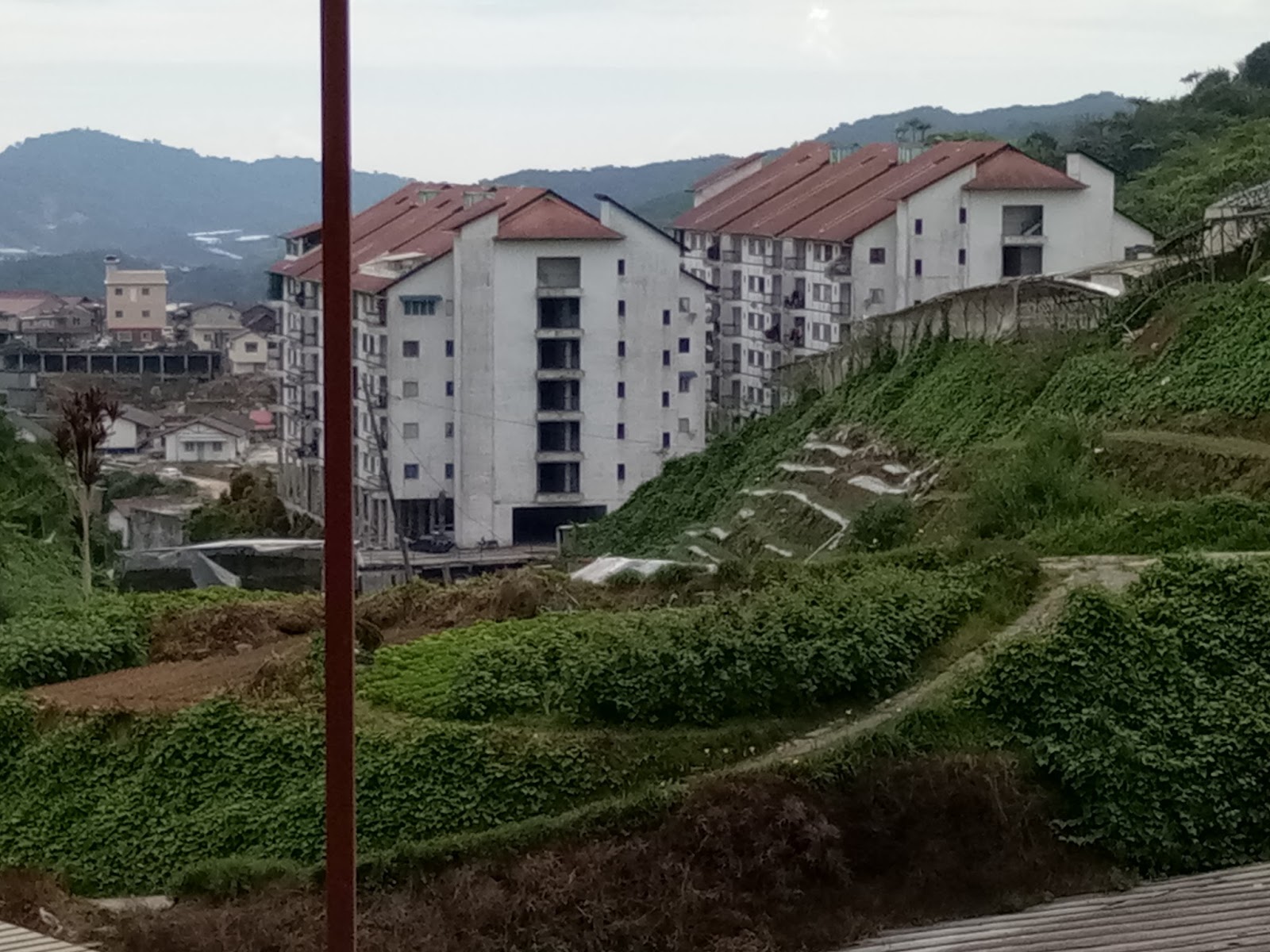 Santalia : Jalan-jalan Malaysia - Cameron Highland