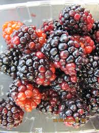 Team Rubus: Red drupelet disorder